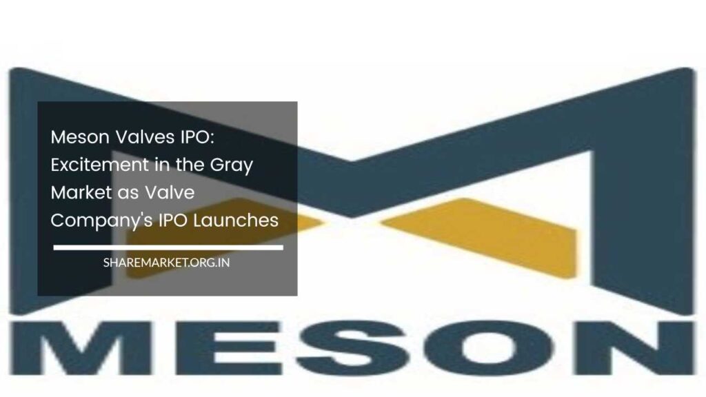 Meson Valves IPO: Excitement In The Gray Market As Valve Company's IPO ...